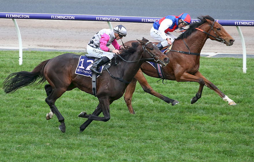 Road To The Cup begins with Lexus Andrew Ramsden | Flemington News