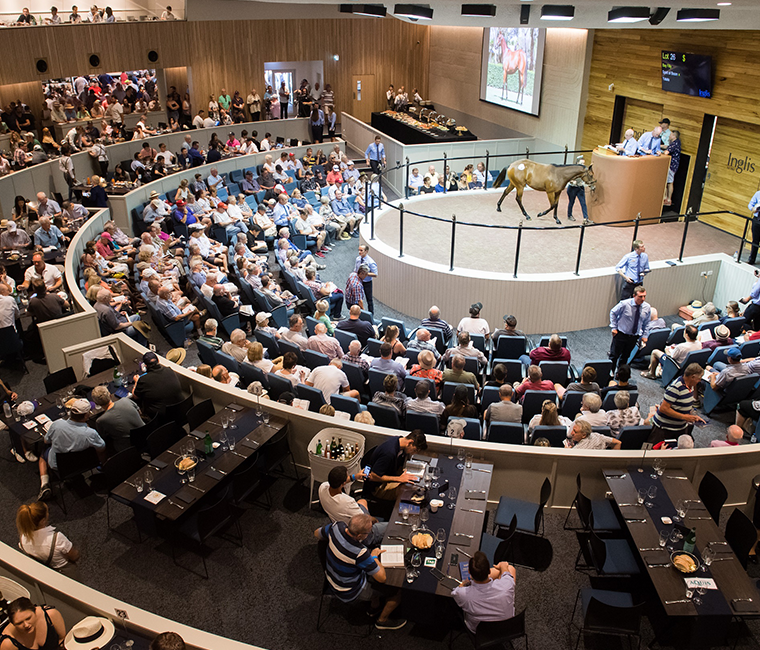 Member Events | Victoria Racing Club