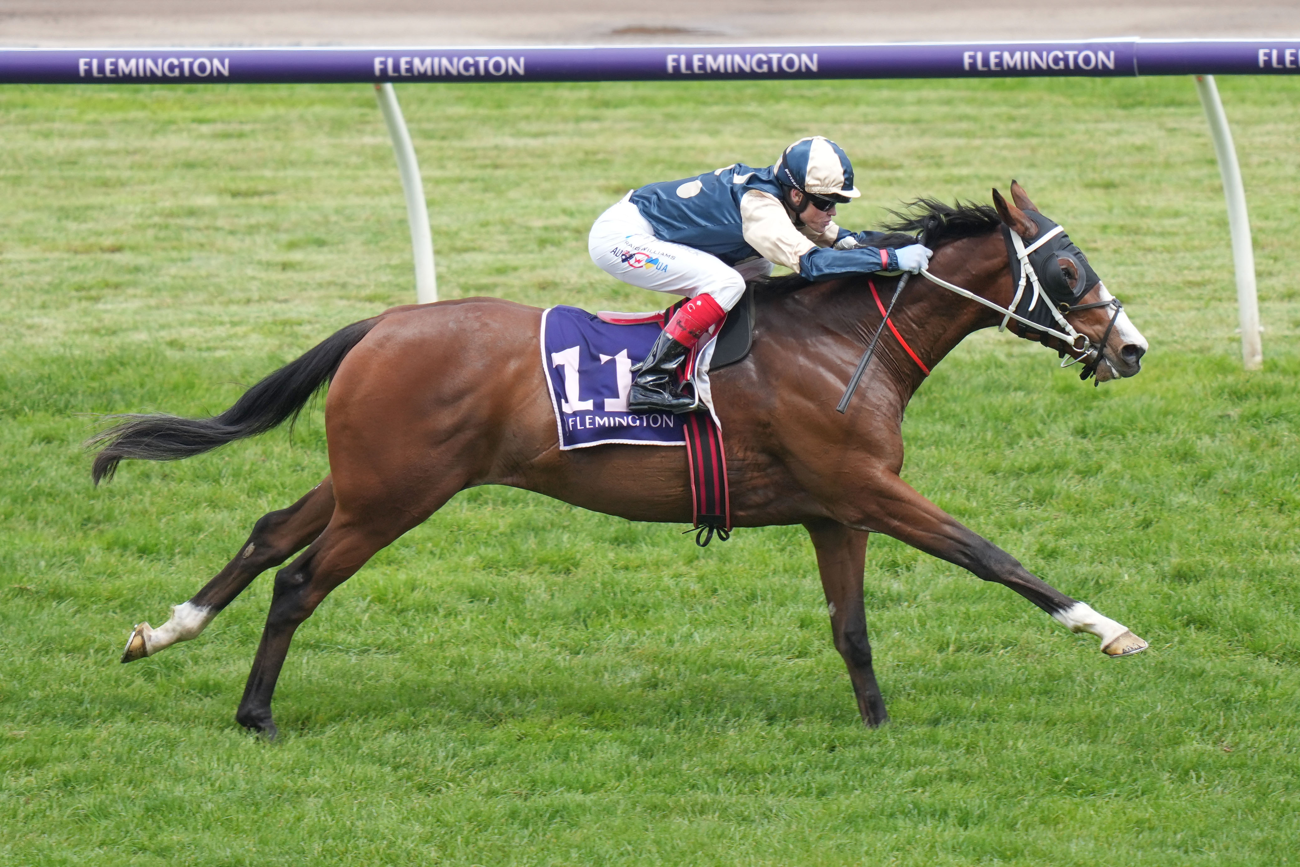 Champions emerge as Carnival closes with a bang | Latest News | VRC