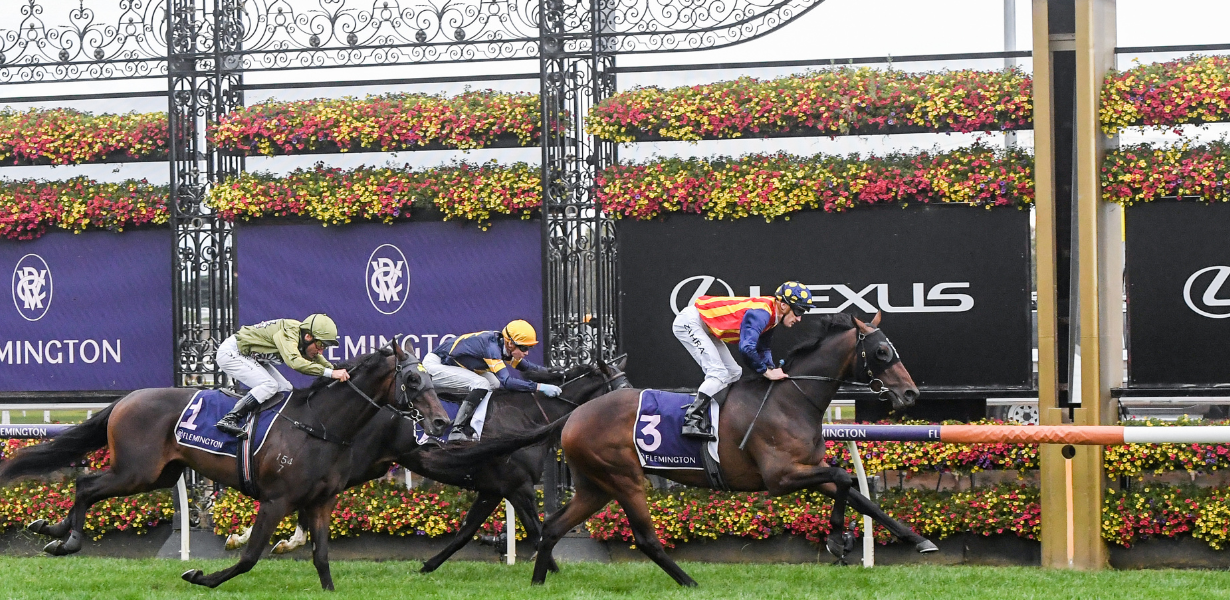 The history of the VRC St Leger | Latest News | VRC