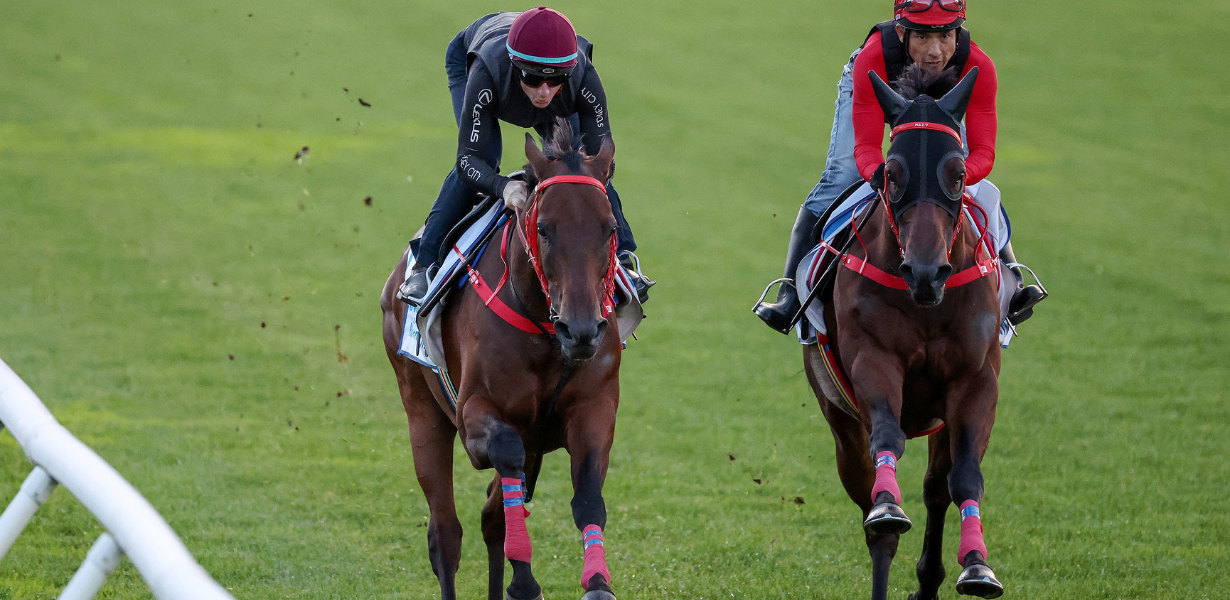 Melbourne spring hopes on the line on TAB Turnbull Stakes Day