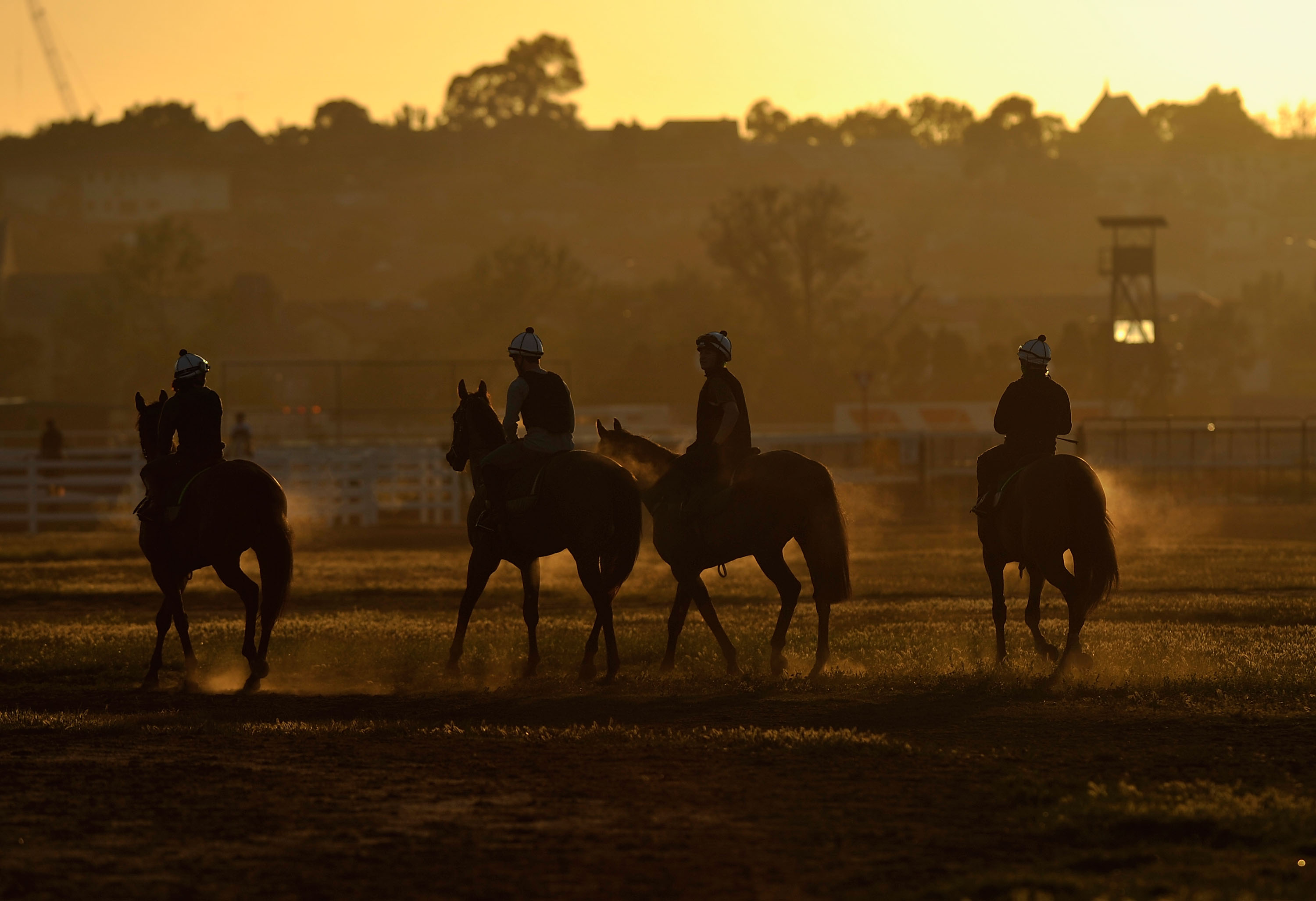 Top of the morning | Victoria Racing Club