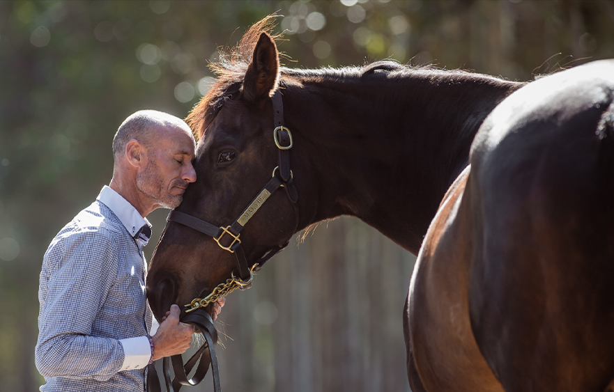 Makybe Diva – From champion to legend | VRC