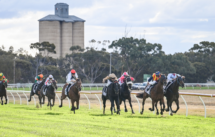 Keeping up the pace with Penny Penfold | Latest News | VRC