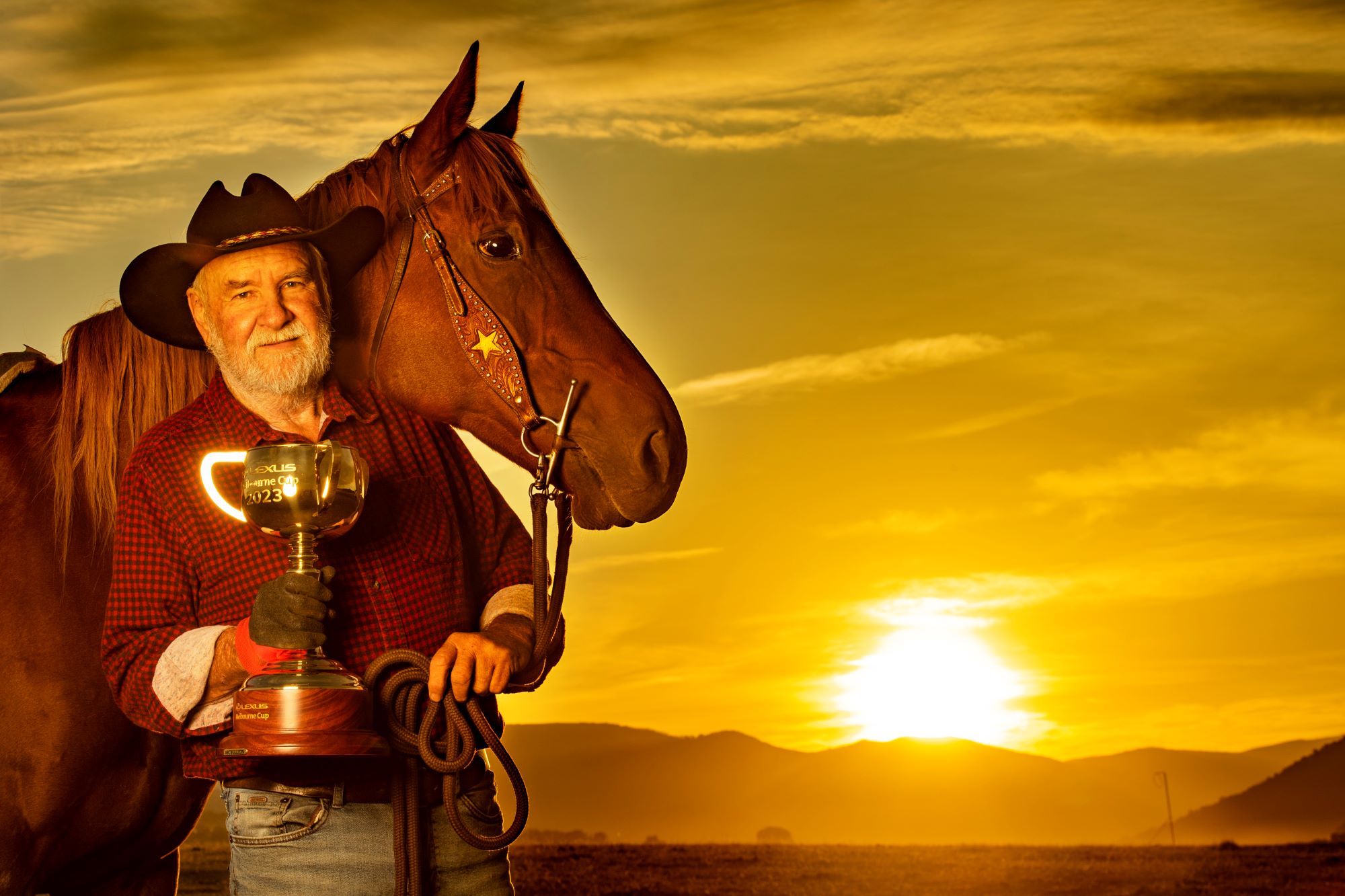 Sandy: the only horse to return from the war