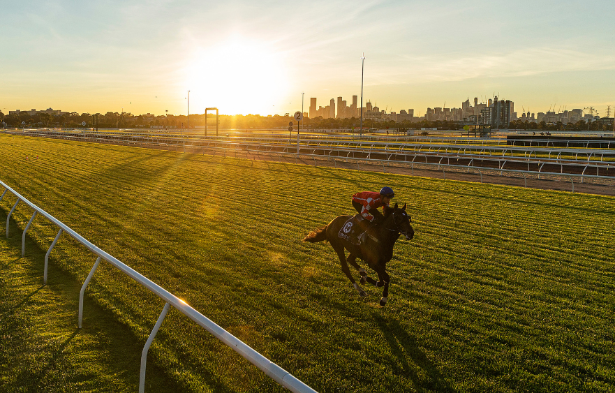 Fast and festive for Rapid Racing Race Day