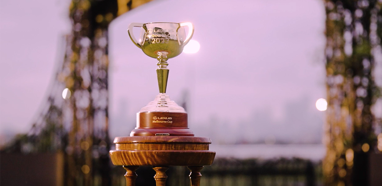 A quick look at the 23 Melbourne Cup runners