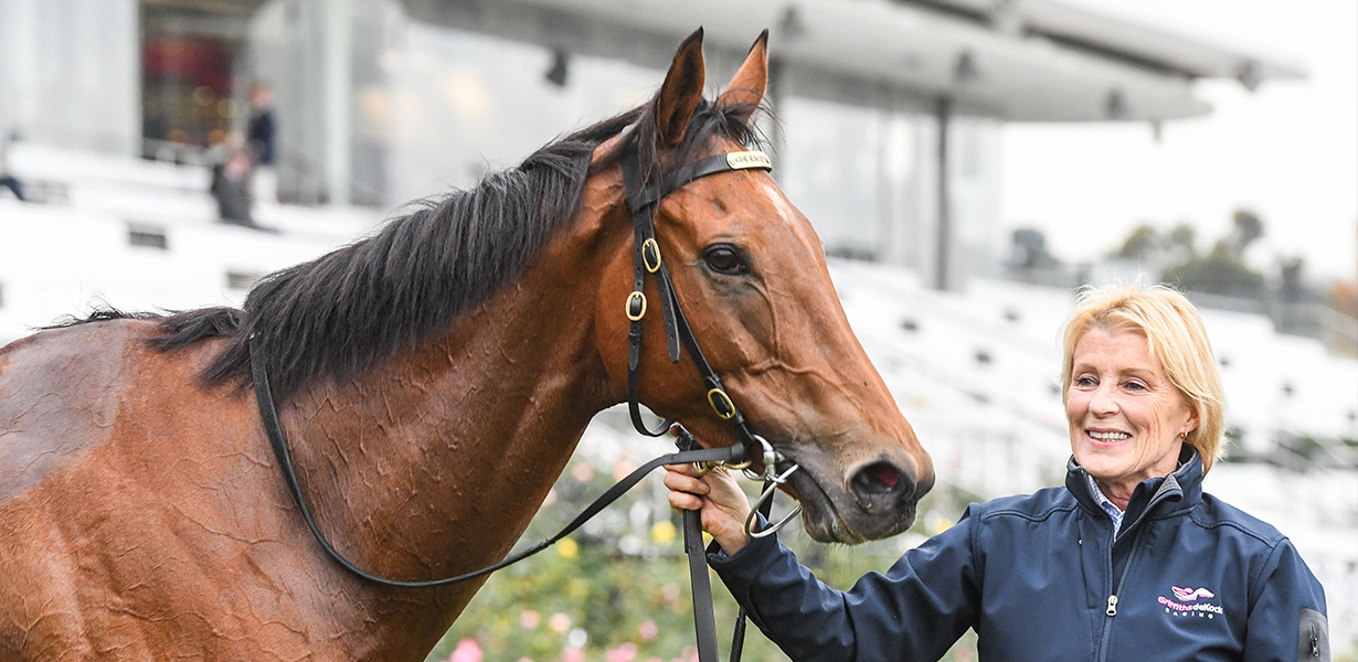 King Magnus right to go in Final | Latest News | VRC