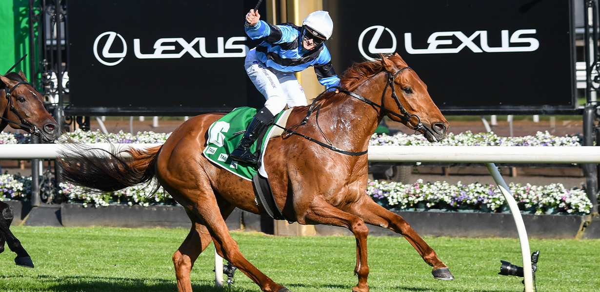 TAB Turnbull Stakes Day Recap | Latest News | VRC