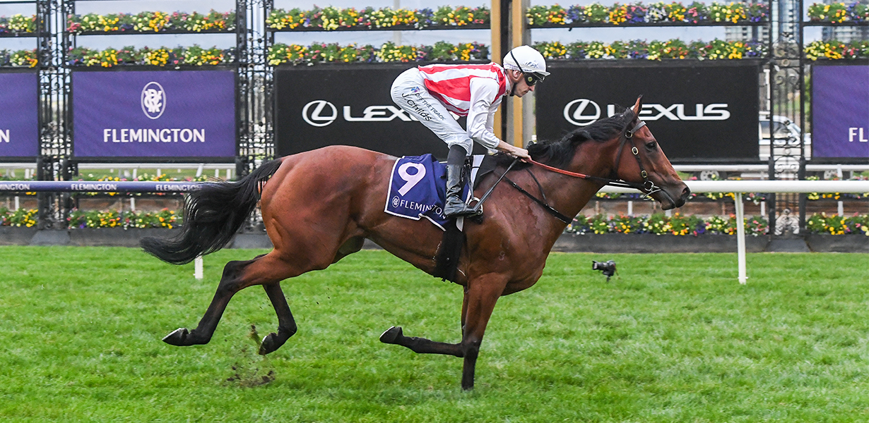 Vrc Community Race Day 8 June Victoria Racing Club