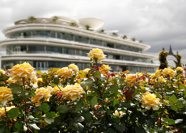 It’s all roses at Flemington | Latest News | VRC