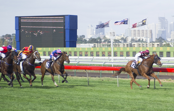 Vale Peter Mertens | VRC