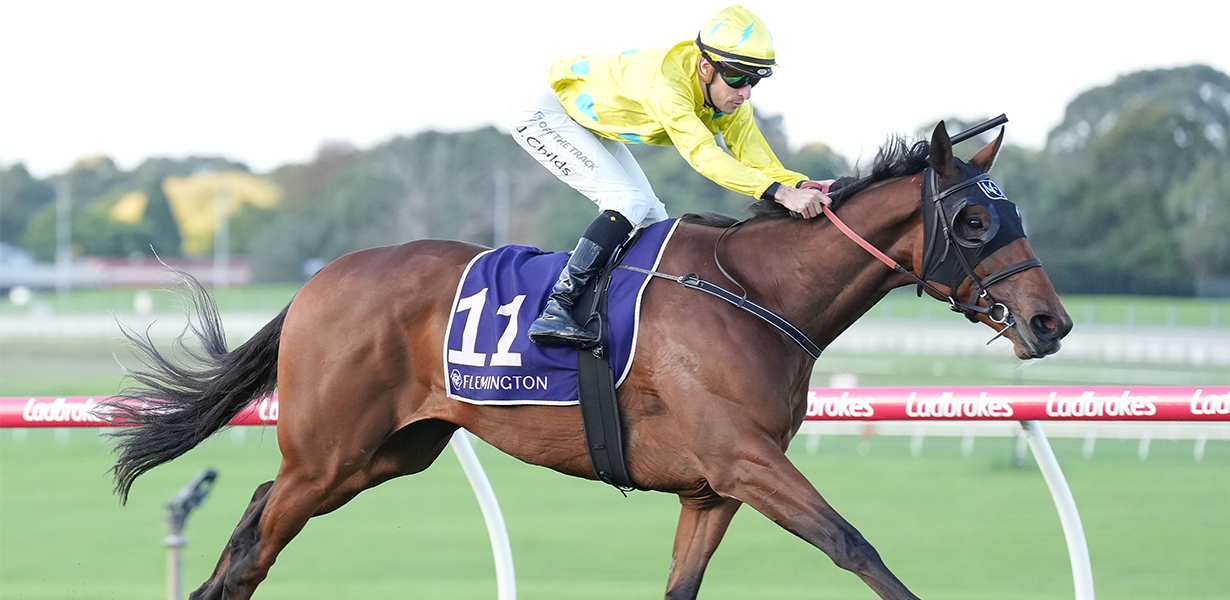 VRC features run and won at Sandown | News | Victoria Racing Club