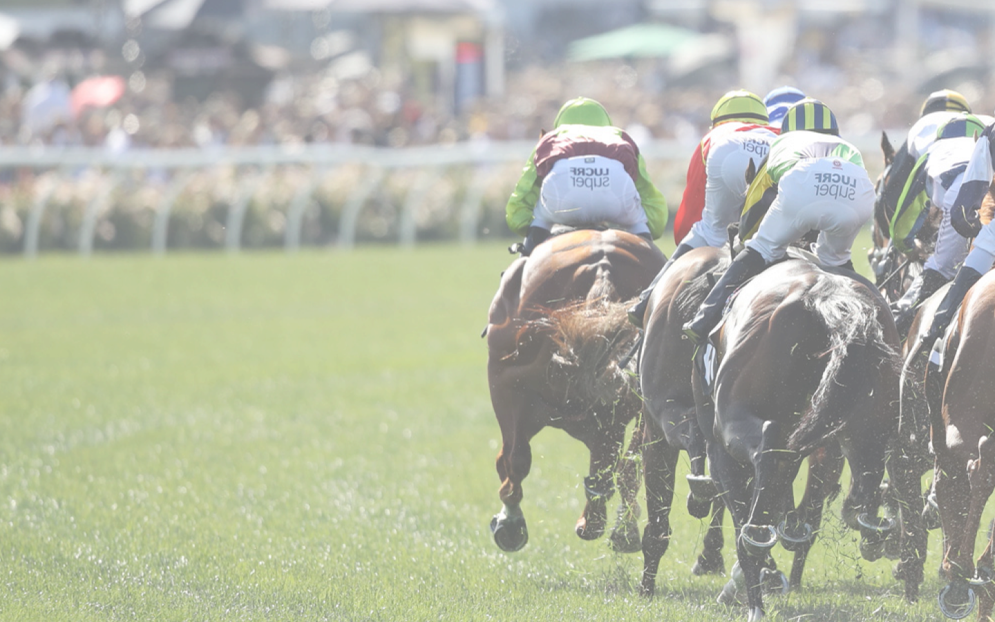 Flemington | Victoria Racing Club | Melbourne Cup Carnival