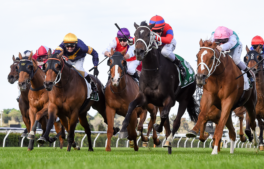 TAB Turnbull Stakes Day to deliver a mouth-watering taste of Cup Week