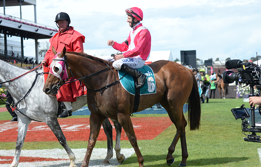 Getting ready to run | Latest News | VRC