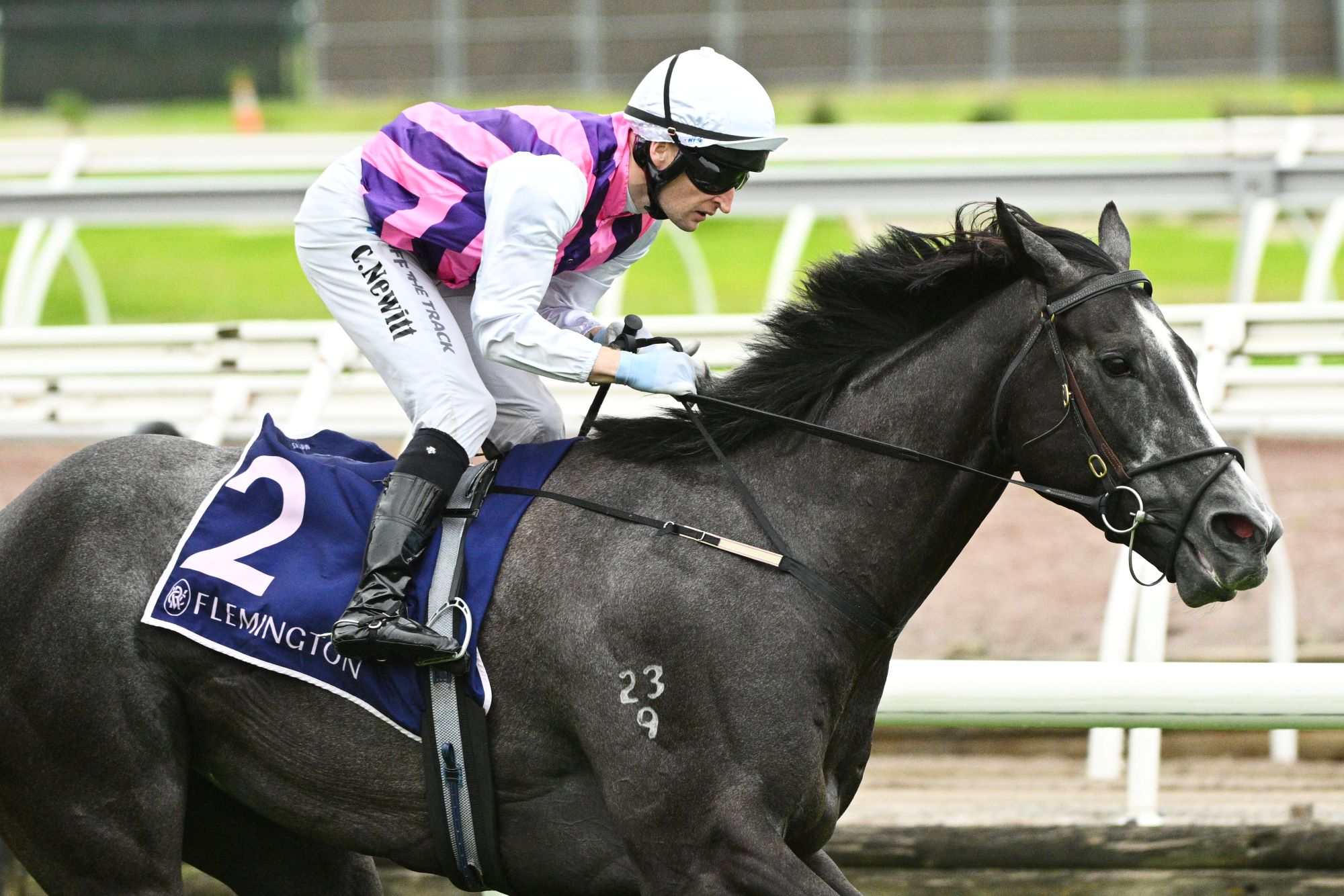 The Standish Handicap Race Day undercard