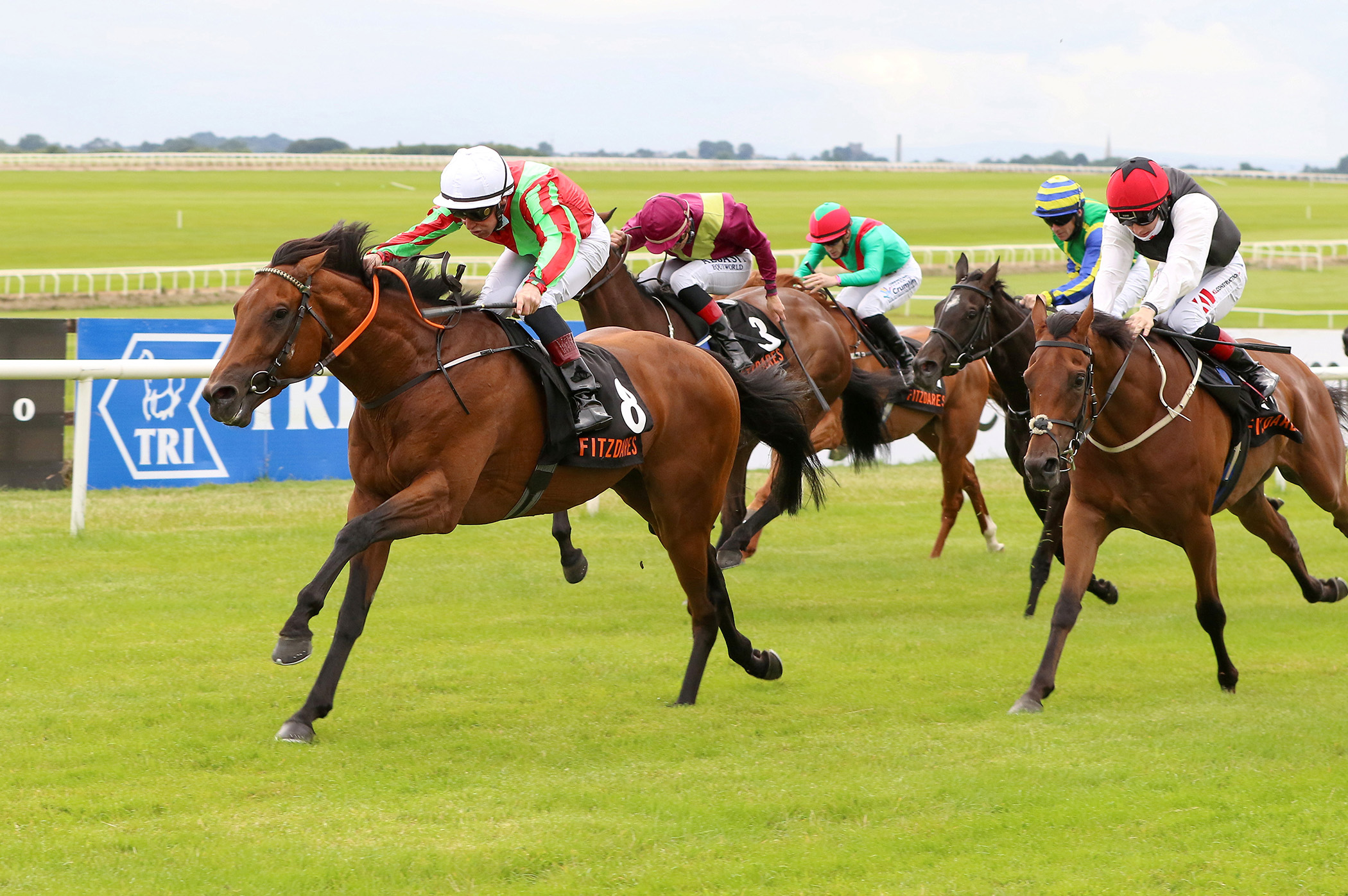 Five interesting entrants for the Flemington Racing Spectacular ...