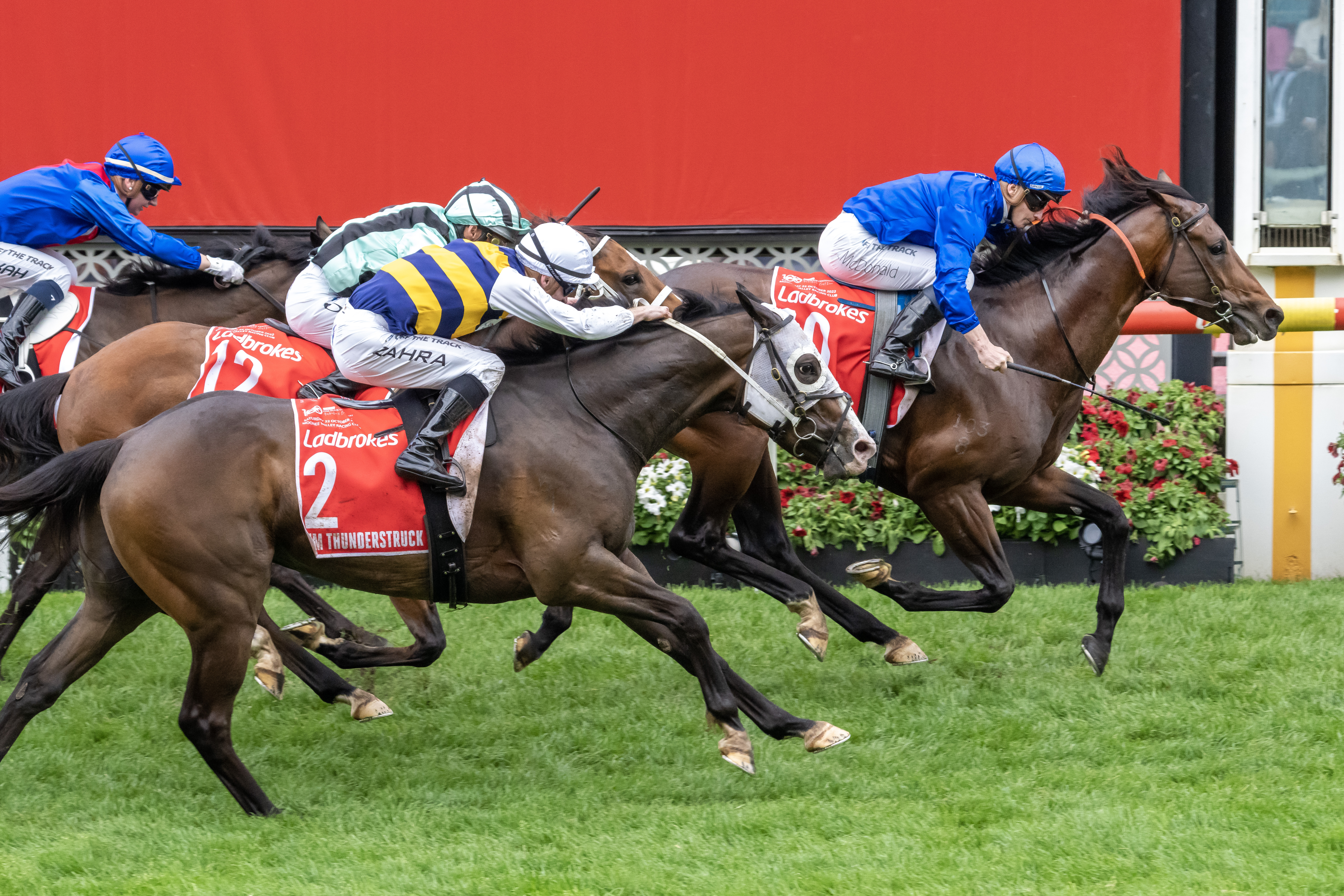 Victoria Derby – a pedigree perspective