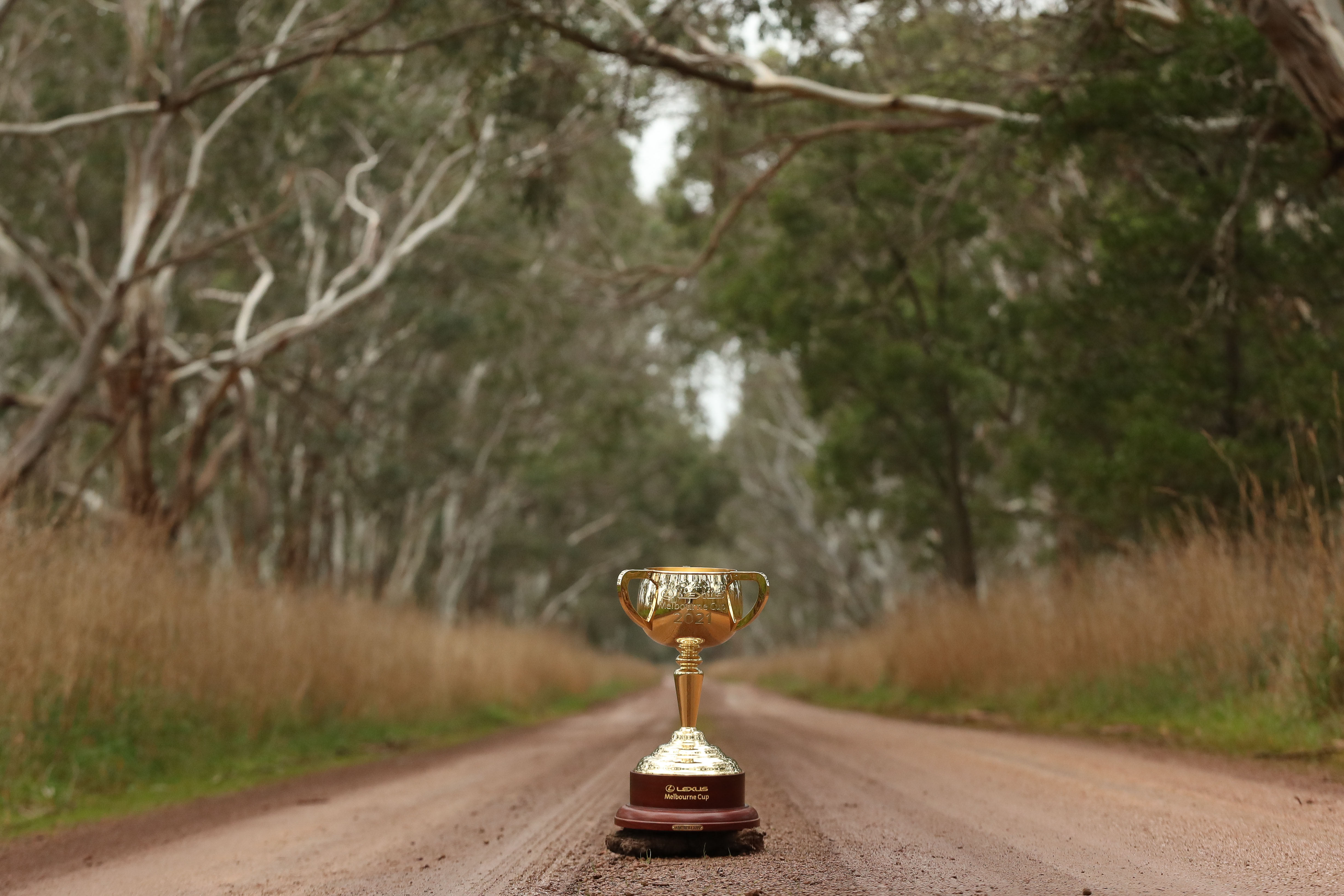 Maffra, VIC | Lexus Melbourne Cup Tour | Victoria Racing Club Flemington