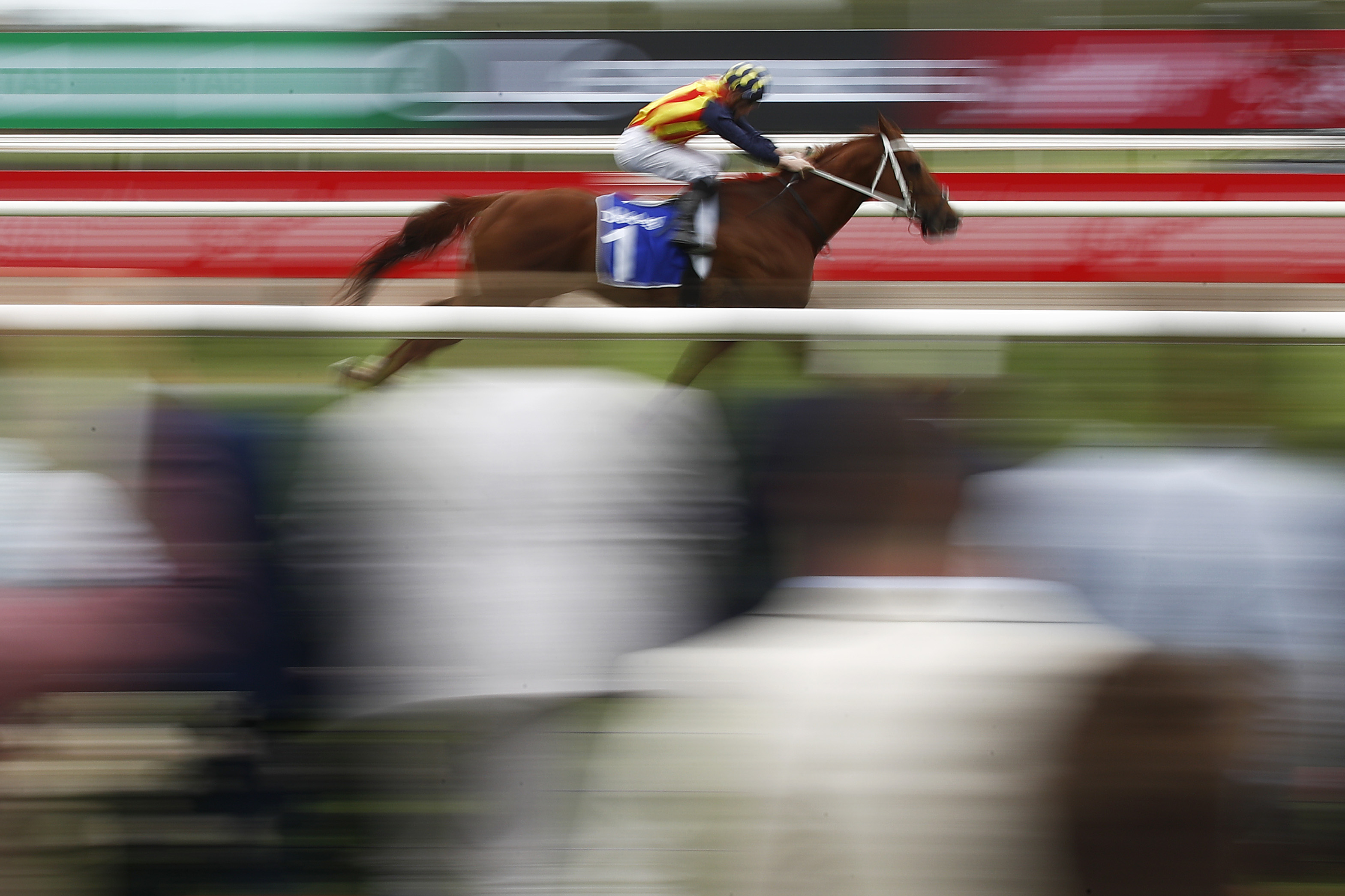 Stars of racing set to shine on TAB Champions Stakes Day