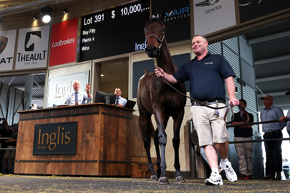 Winx filly sells for $10 million | Latest News | VRC