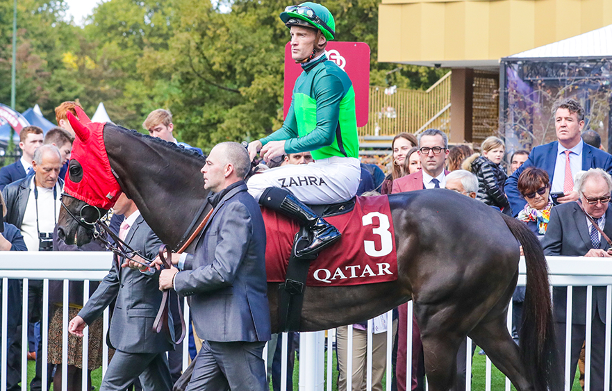 Graffard, Zahra believe real Verry Elleegant can still stand up ...