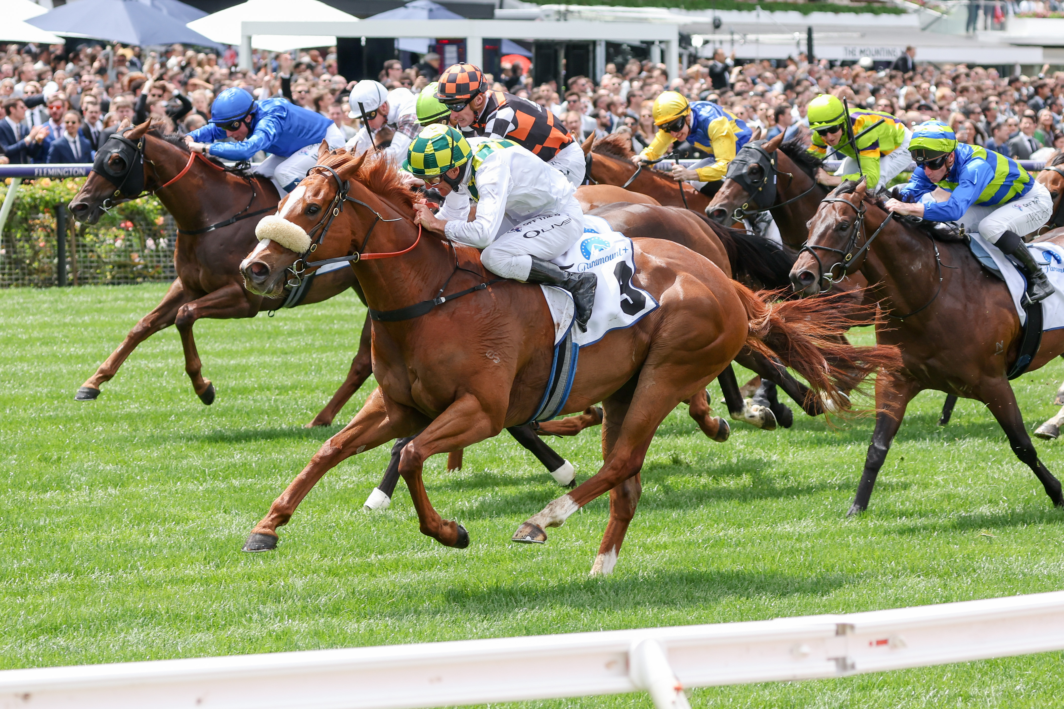From Derby Day to the Cup Carnival
