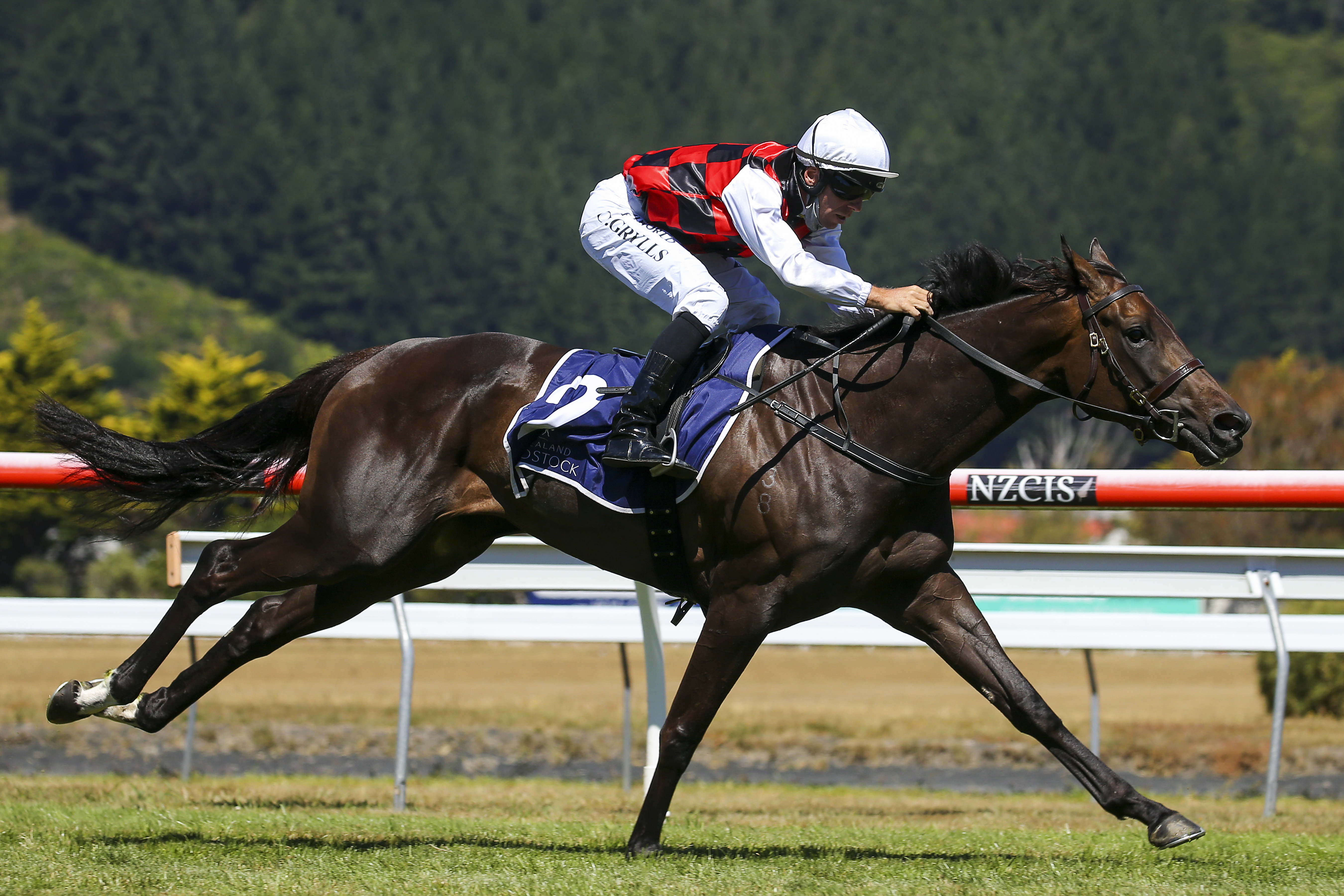Penfolds Derby Day - Racing Preview