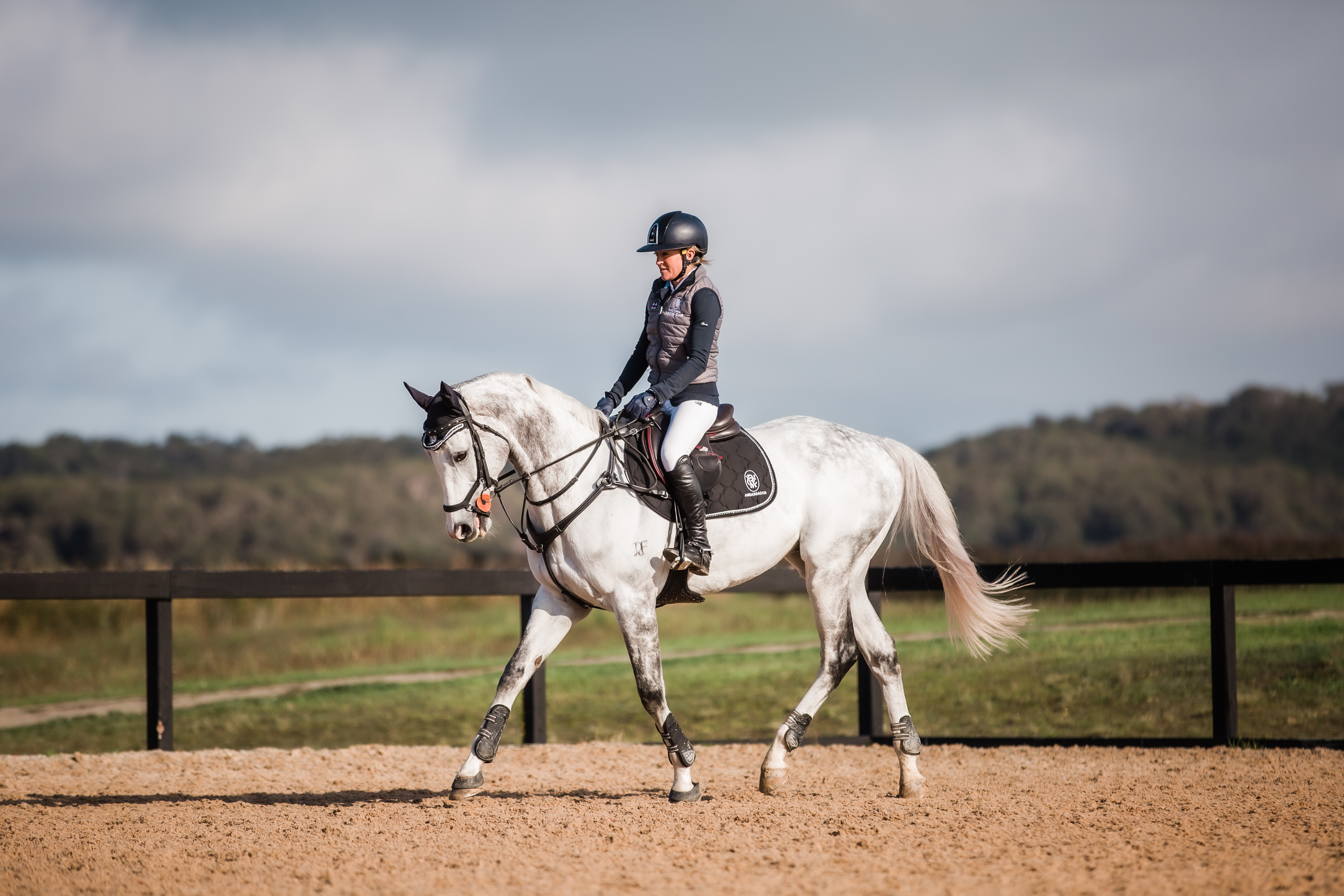 VRC Ambassador Amanda Ross Wins Off The Track Dressage Series | Latest ...