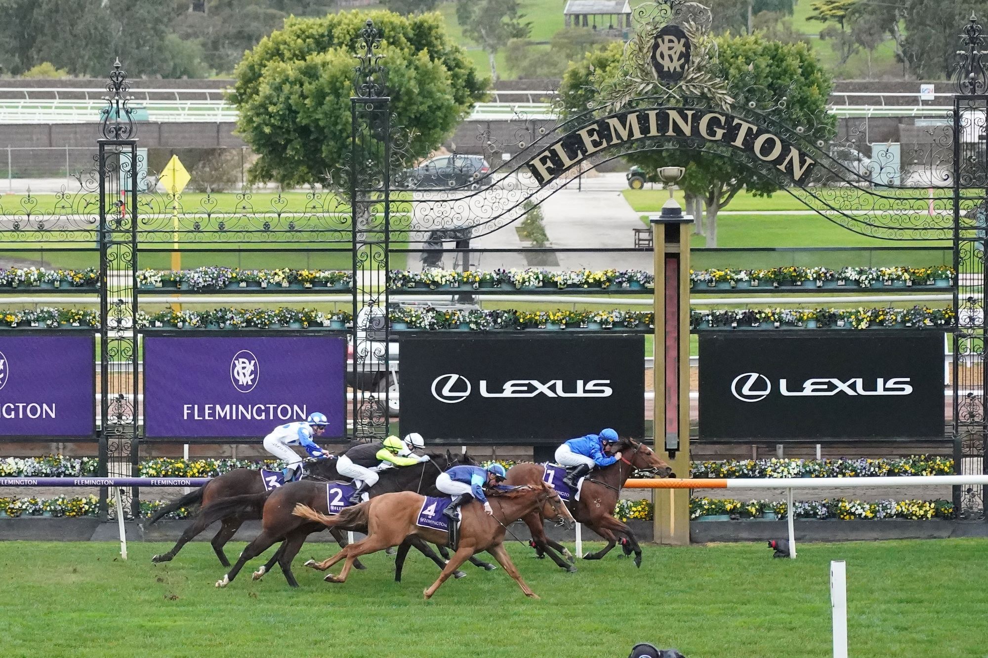 Exploring too smart at Flemington