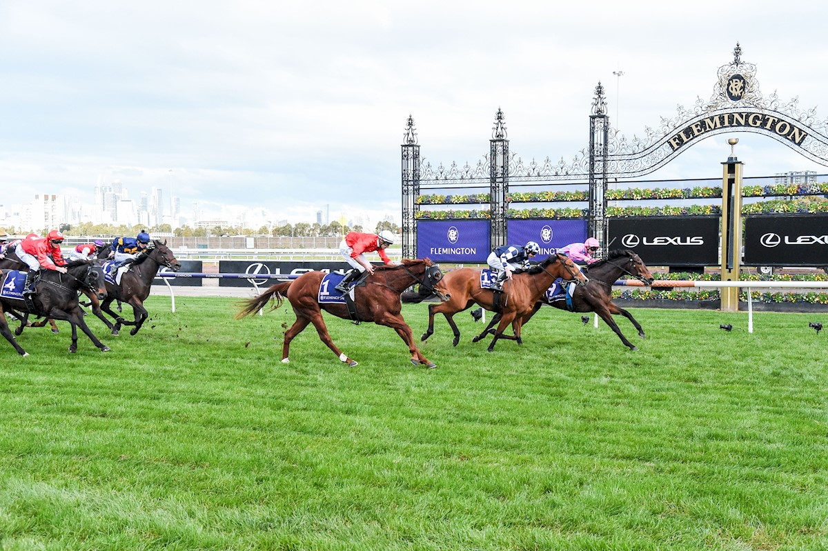 Winter Race Series | Latest News | Victoria Racing Club