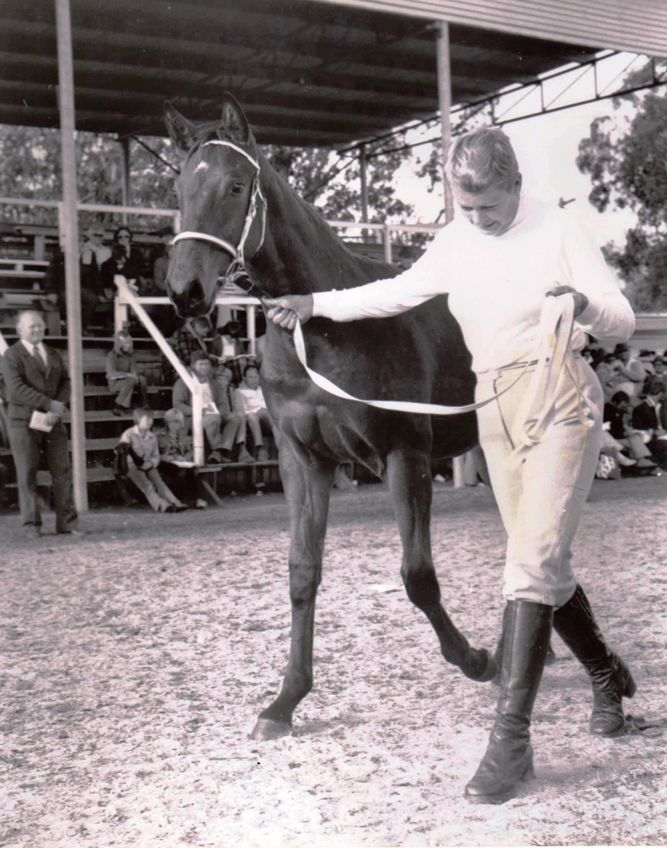 Trailblazing Trainers | Women in racing