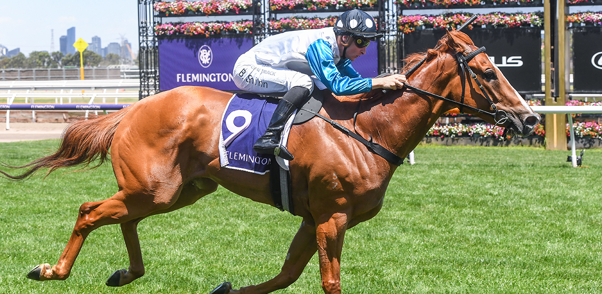 Resimax Group Rapid Racing Race Day | 20 December | Flemington | VRC