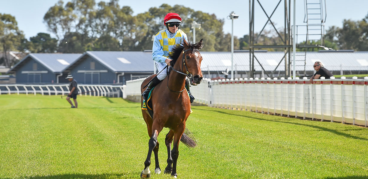 Success for newest Flemington trainers | Victoria Racing Club
