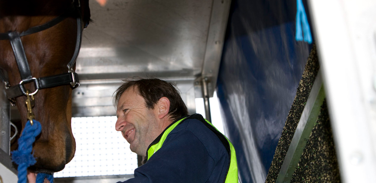 Precious cargo | International horse transport | Latest News VRC