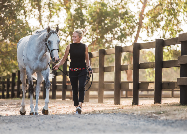 VRC Ambassador Amanda Ross Wins Off The Track Dressage Series | Latest ...