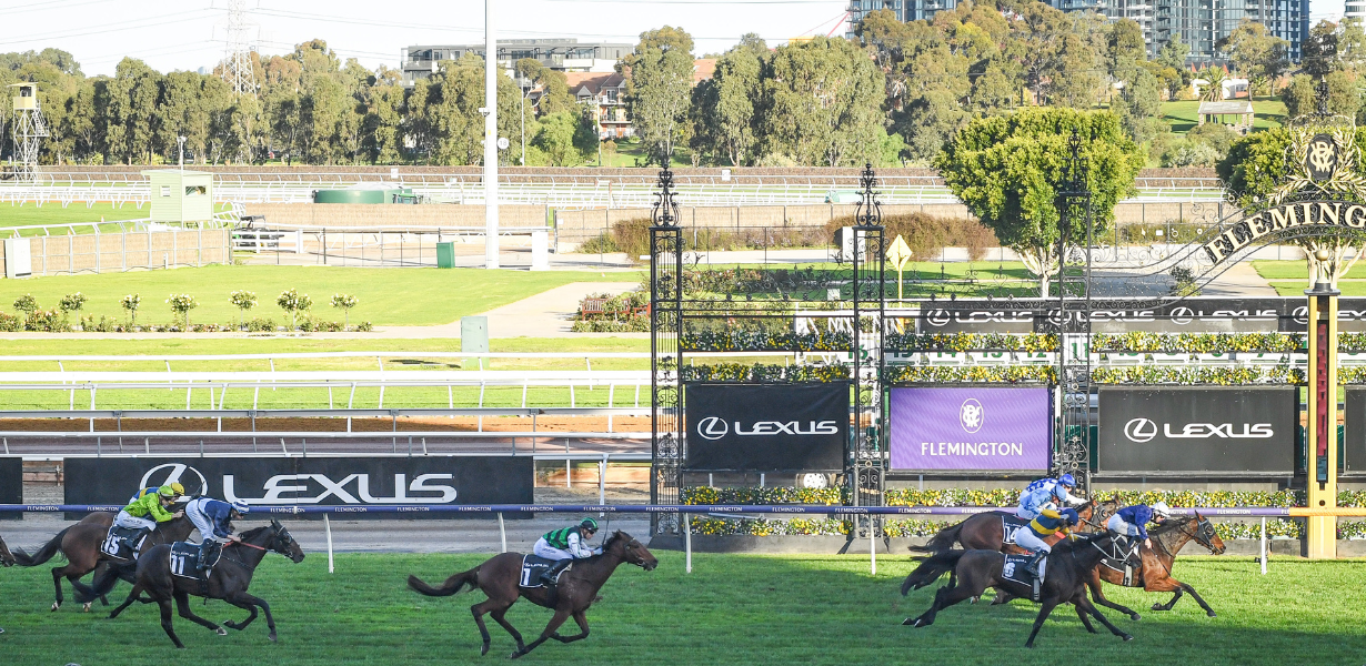 The Map wins golden ticket into 2024 Lexus Melbourne Cup | Latest News ...