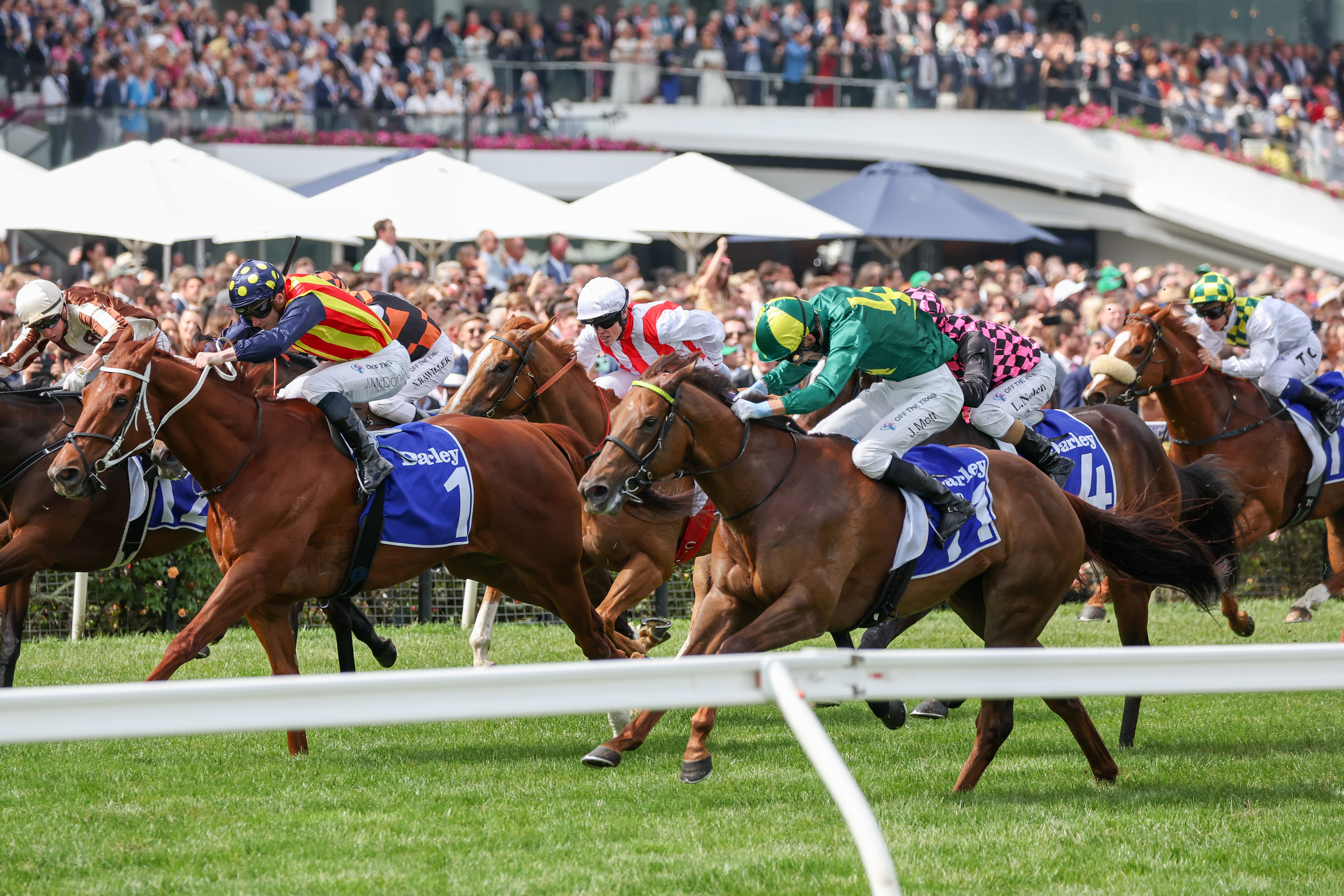 Steve Rosich talks about Spring Carnival concepts.