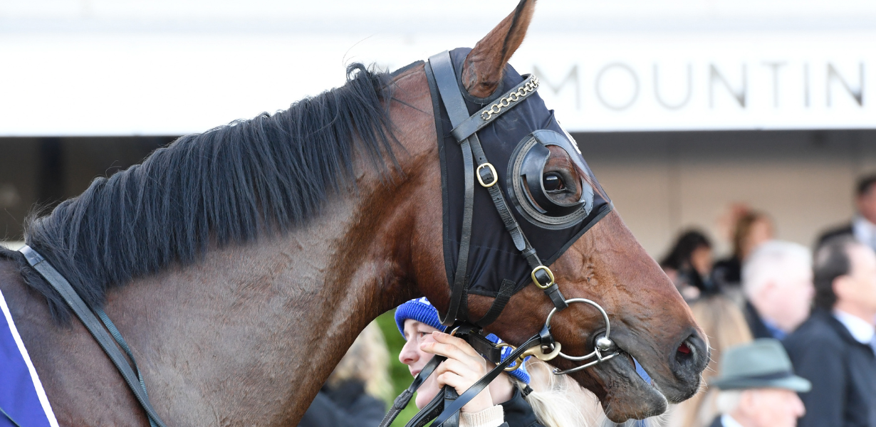 Draw favours Who Dares in Straight Six | Latest News | VRC