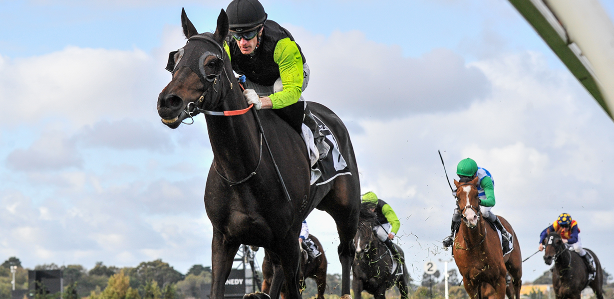 Andrew Ramsden Race Day | May 14 | Flemington Races | VRC