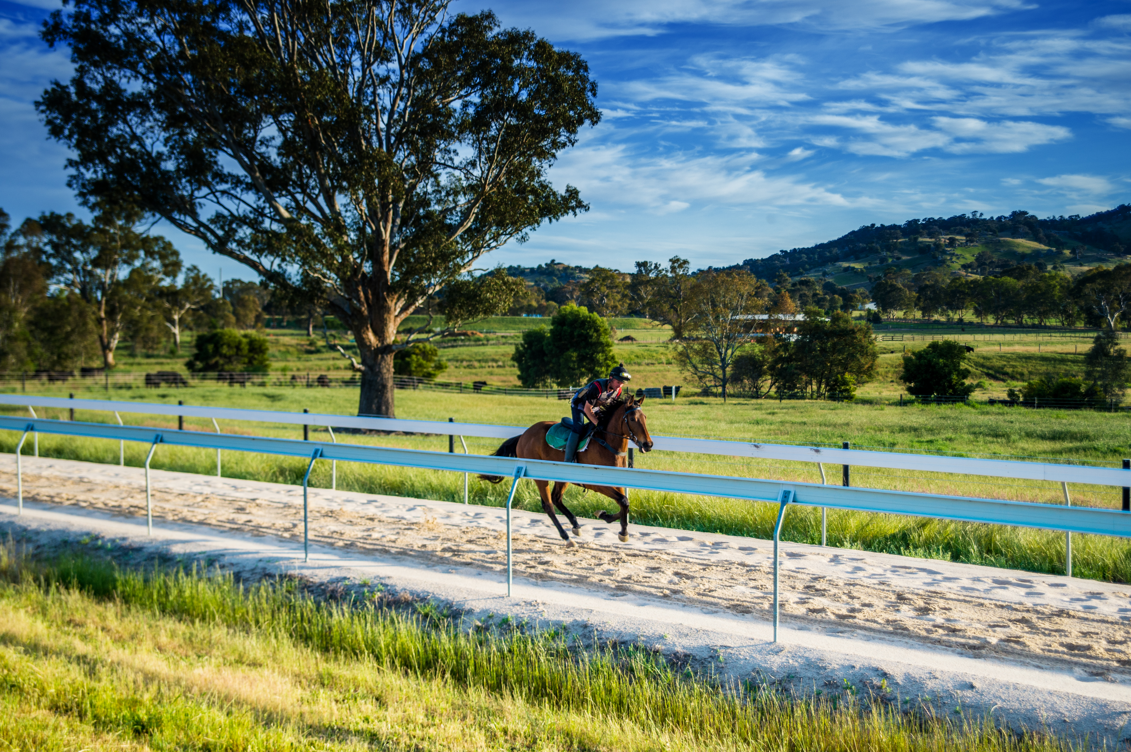 From the city to the country | Victoria Racing Club