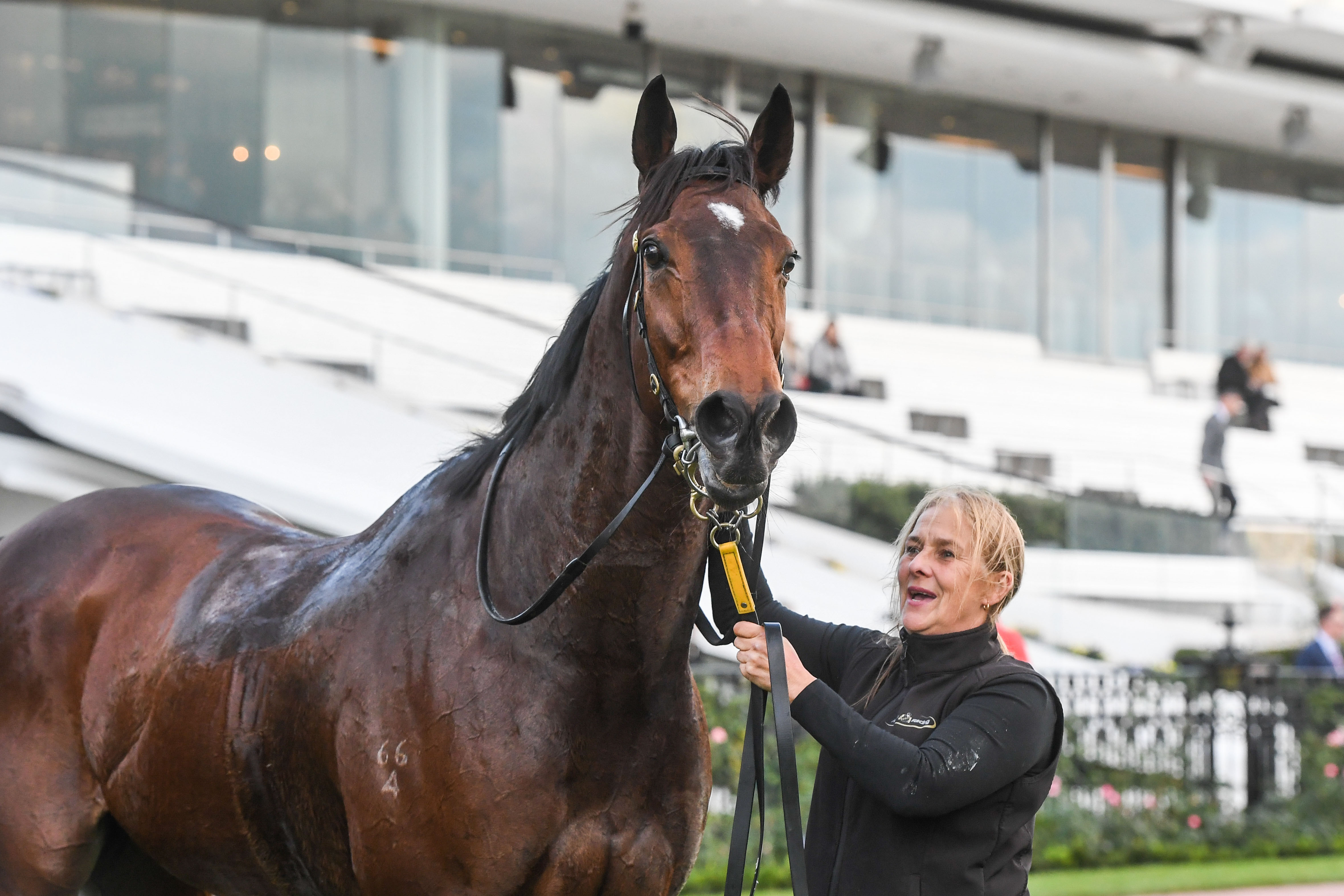 Trainer profile—Andrew Bobbin | News | Victoria Racing Club