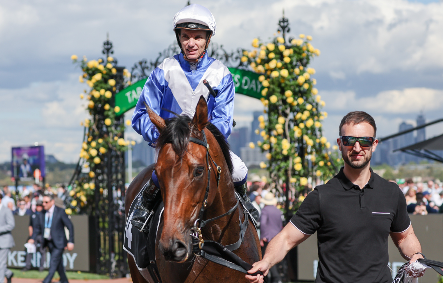 David Camilleri: Strapper for Alligator Blood | Latest News | VRC