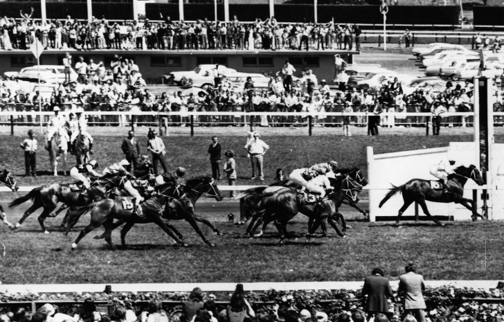 Happy 80th Birthday Lettsy | Latest News | VRC