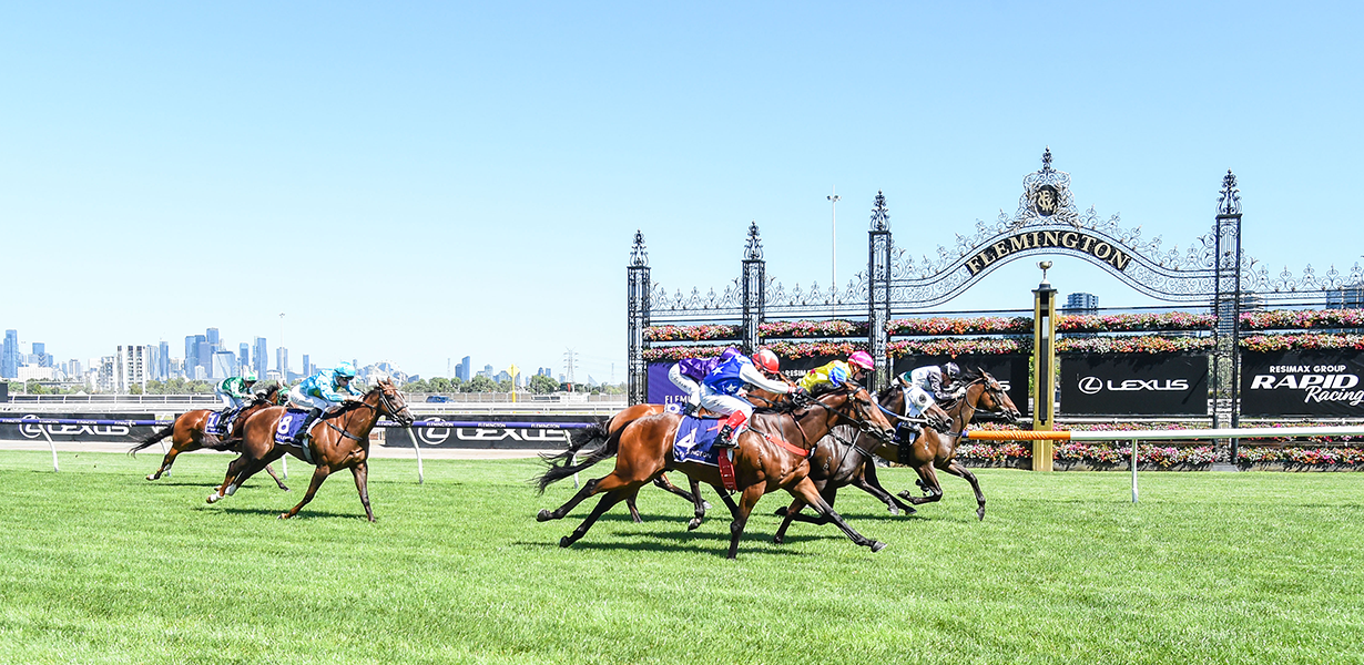 VRC Summer Fun Race Day | January 20 | Flemington Race Days | VRC