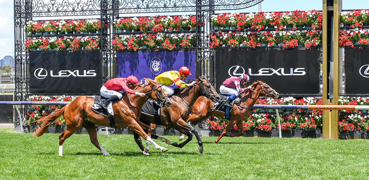 VRC Christmas Race Day
