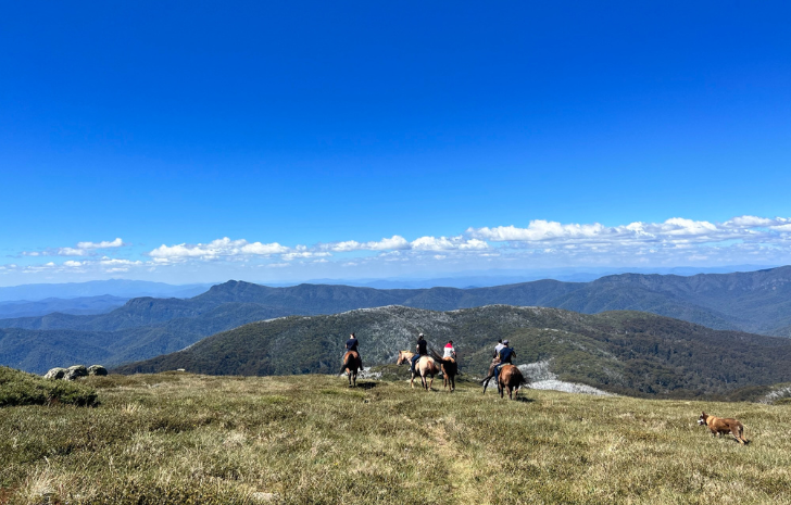 Widgee Turf going at a different pace | Latest NEws | VRC
