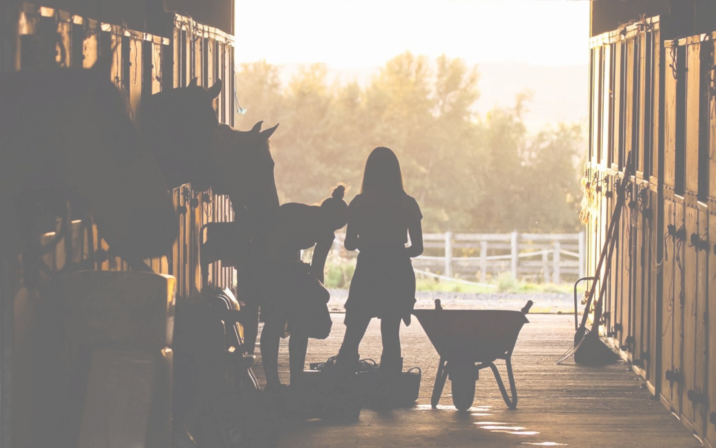 Flemington | Victoria Racing Club | Melbourne Cup Carnival