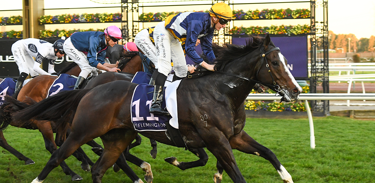 VRC Country Race Day | 22 June | Victoria Racing Club